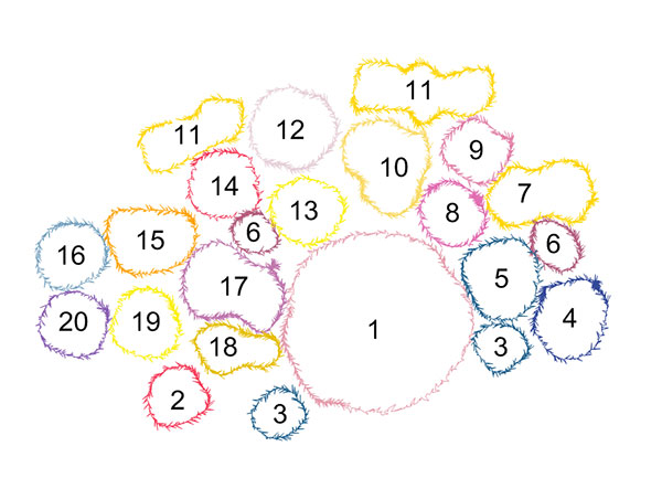 Дизайн клумб > Статьи о садоводстве > компания 'Сад удачи'